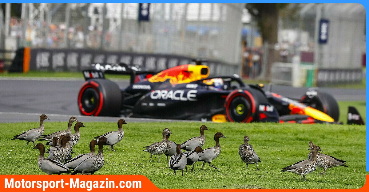 Formel 1 heute live im Free-TV: Wer überträgt das Rennen? Australien im TV, Livestream, Wiederholung