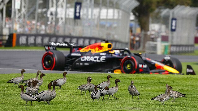 Formel 1 heute live im Free-TV: Wer überträgt das Rennen? Australien im TV, Livestream, Wiederholung