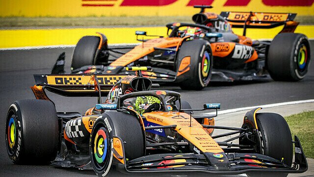 Pro & Contra zur Papaya-Rules-Kontroverse: Erfolgsgeheimnis oder ...