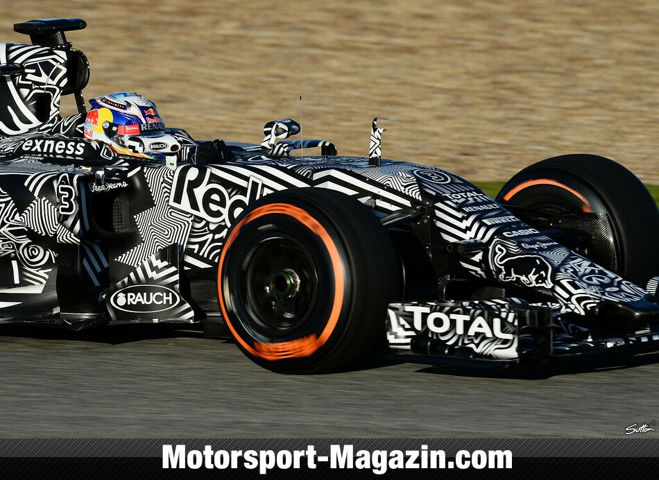 Blog - Red Bulls Zebra-Look nach Vettel-Vorbild - Formel 1